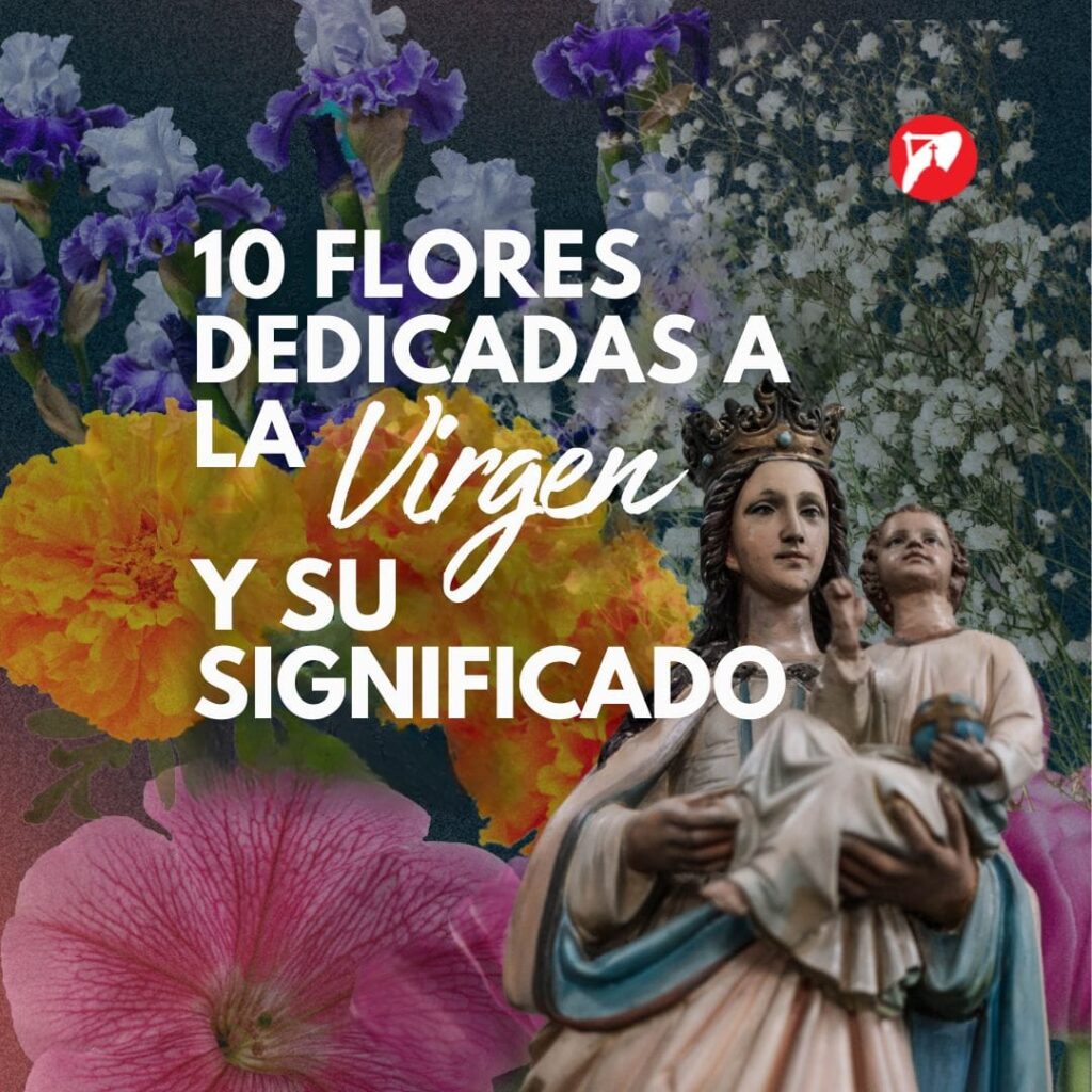 10 Flores Dedicadas a la Virgen María y su Significado - Periódico ...